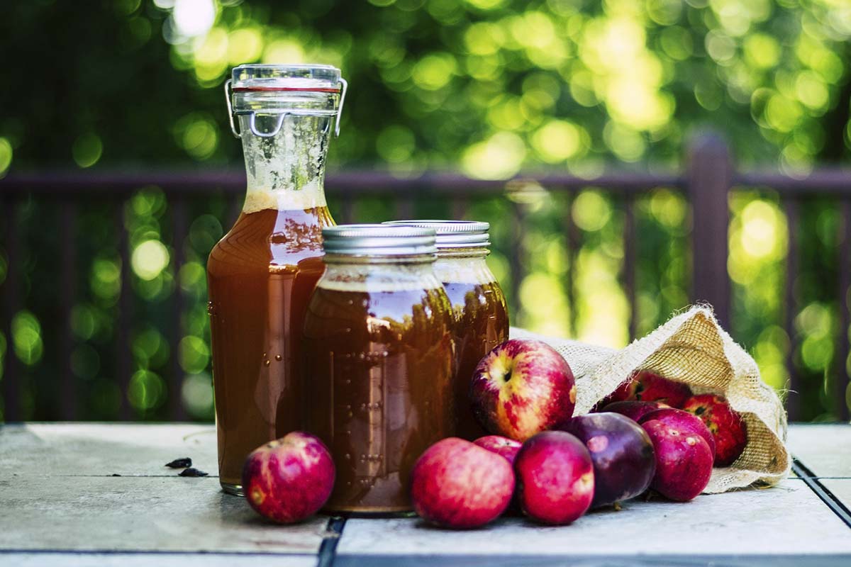 Ciderproducenter i Danmark - Foreningen Dansk Vin